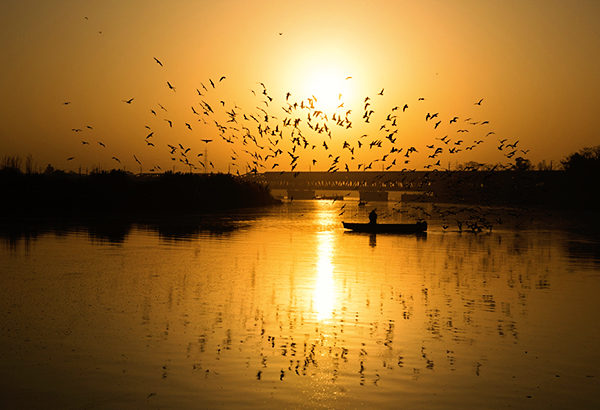 Resurgence Of "Sone Ki Chidiya" - India | My Gold Guide